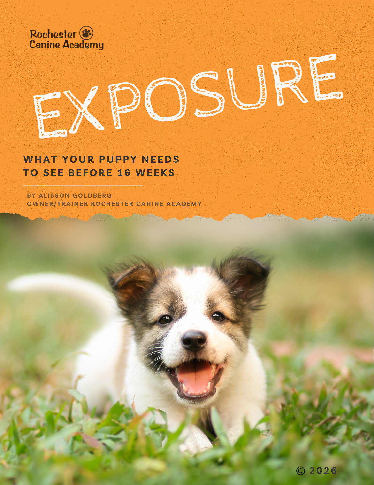 Exposure Guide - Rochester Canine Academy